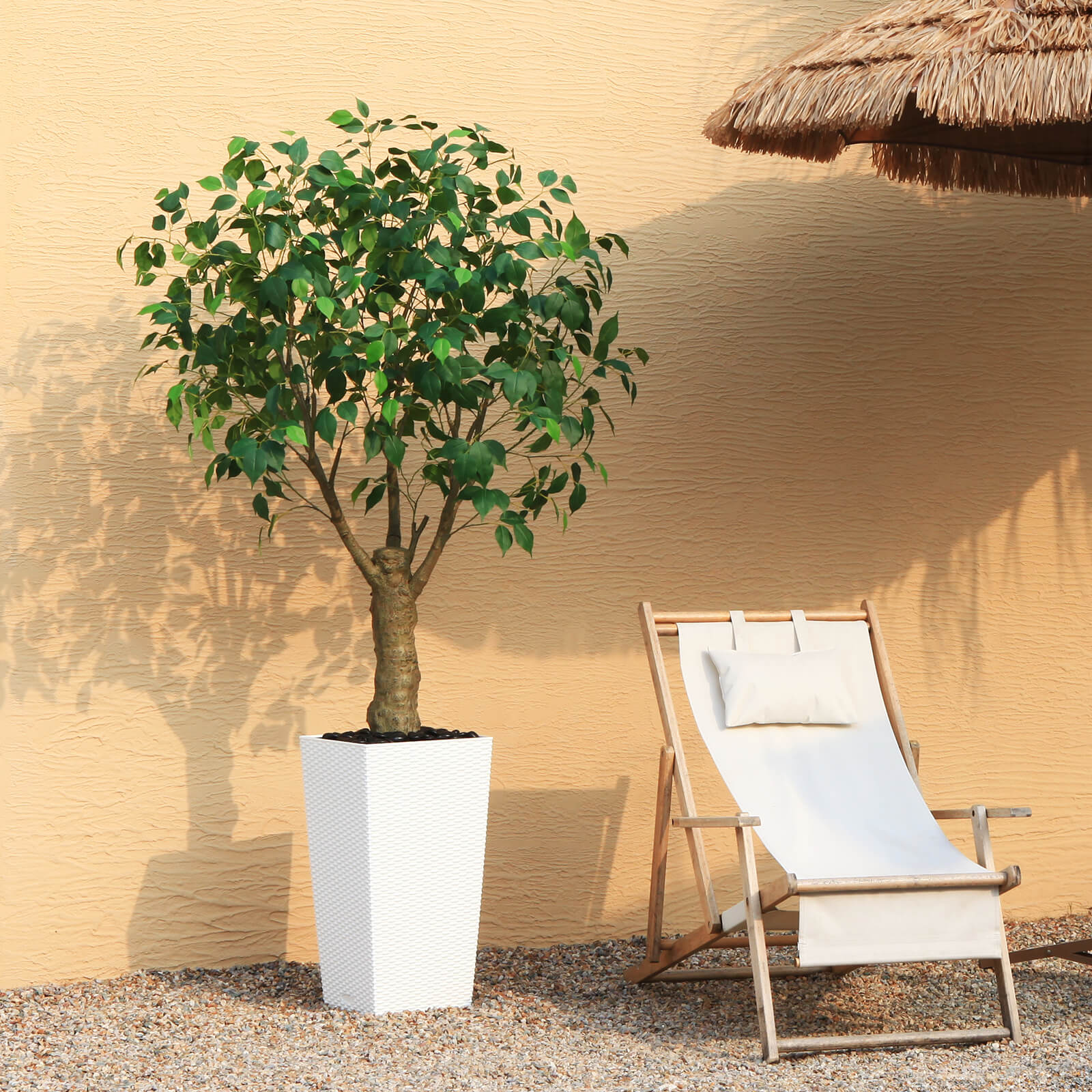 VeriNatural 6/7FT Artificial Ficus Tree with White/Brown Taper Planter